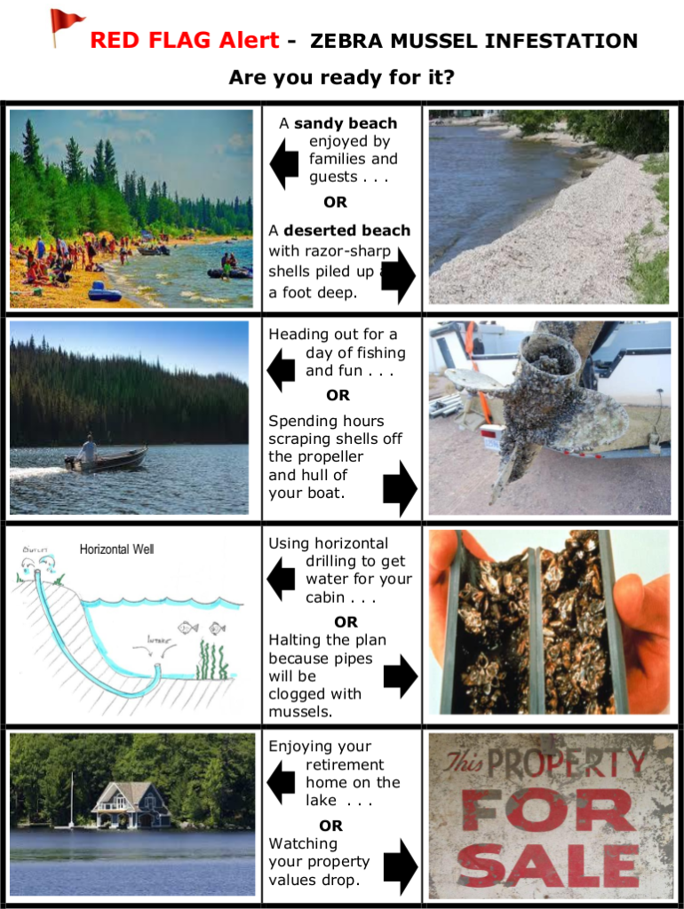 Zebra Mussel Public Information Meeting - District of Lakeland